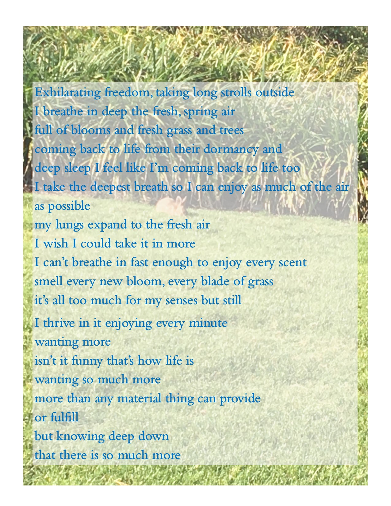 So Much More | MyModernQuill Weblog